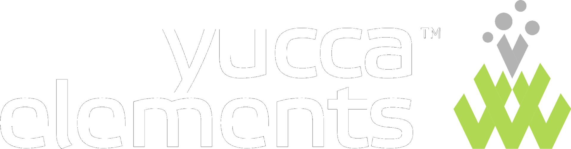 关于青然 - Yucca Elements | 青然新护